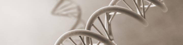 DpnI 用于点突变后去除未突变的模板 - 知乎