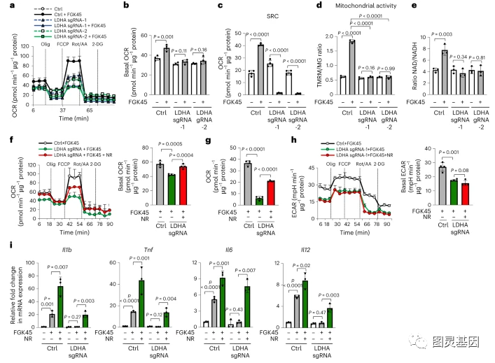 Nat Immu | CD40信号通过代谢重编程刺激巨噬细胞的抗肿瘤效应 - 知乎