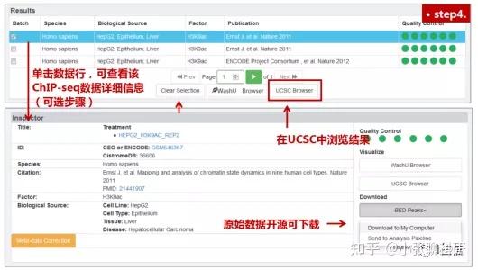 生信实操丨用ChIP-seq公共数据探索组蛋白表观遗传修饰参与目标基因的调控情况 - 知乎