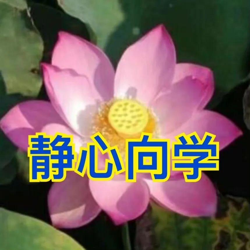 爱学习的表情包 - 知乎