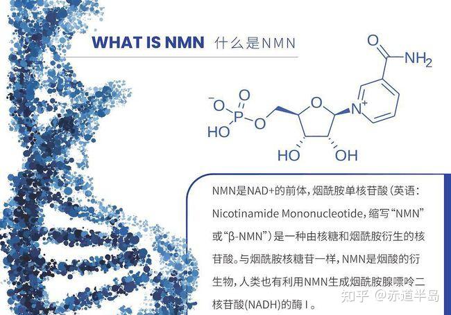 美国NMN效果如何？YOLLGENE NMN 18000，如何选择NMN加盟代理？ - 知乎