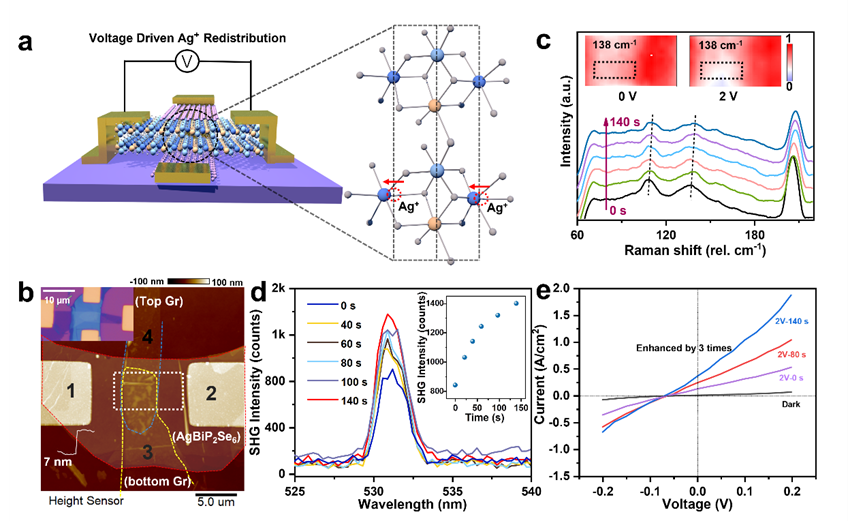 二维丨哈尔滨工业大学（深圳）徐成彦、秦敬凯团队Adv. Funct. Mater：基于二维AgBiP2Se6晶体的巨体光伏效应 - 知乎