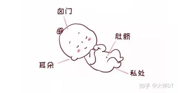 乱摸宝宝易变傻,记住 三摸五不摸”! 知乎