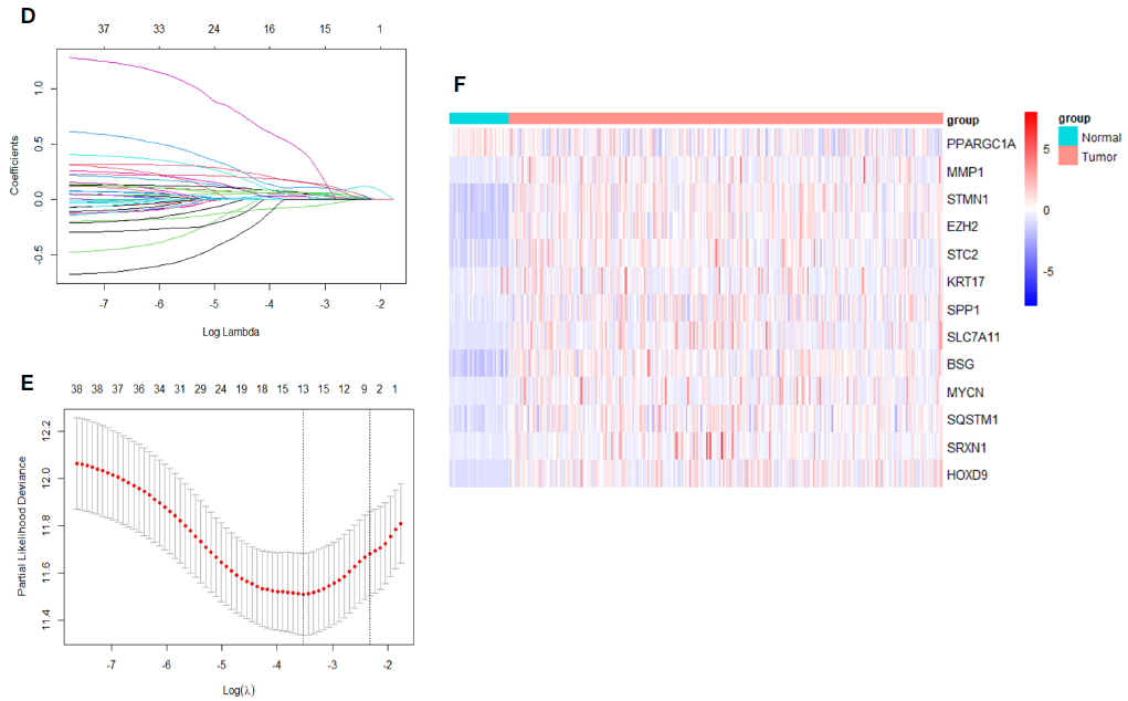 双热点分析思路再度来袭！铁死亡+EMT强强联合，常规预后模型思路也能轻松入手8分+纯生信！速围观~ - 知乎