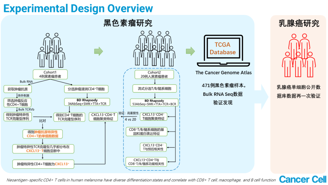 BD Rhapsody单细胞多组学技术助力黑色素瘤特异性CD4+T细胞研究 - 知乎