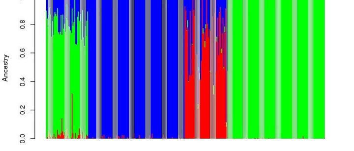 Admixture使用说明文档cookbook - 知乎