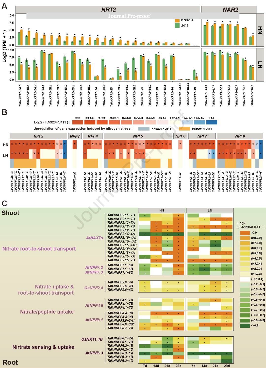 《Molecular Plant》新思路：比较转录组+比较基因组研究小麦高效氮利用分子机制 - 知乎