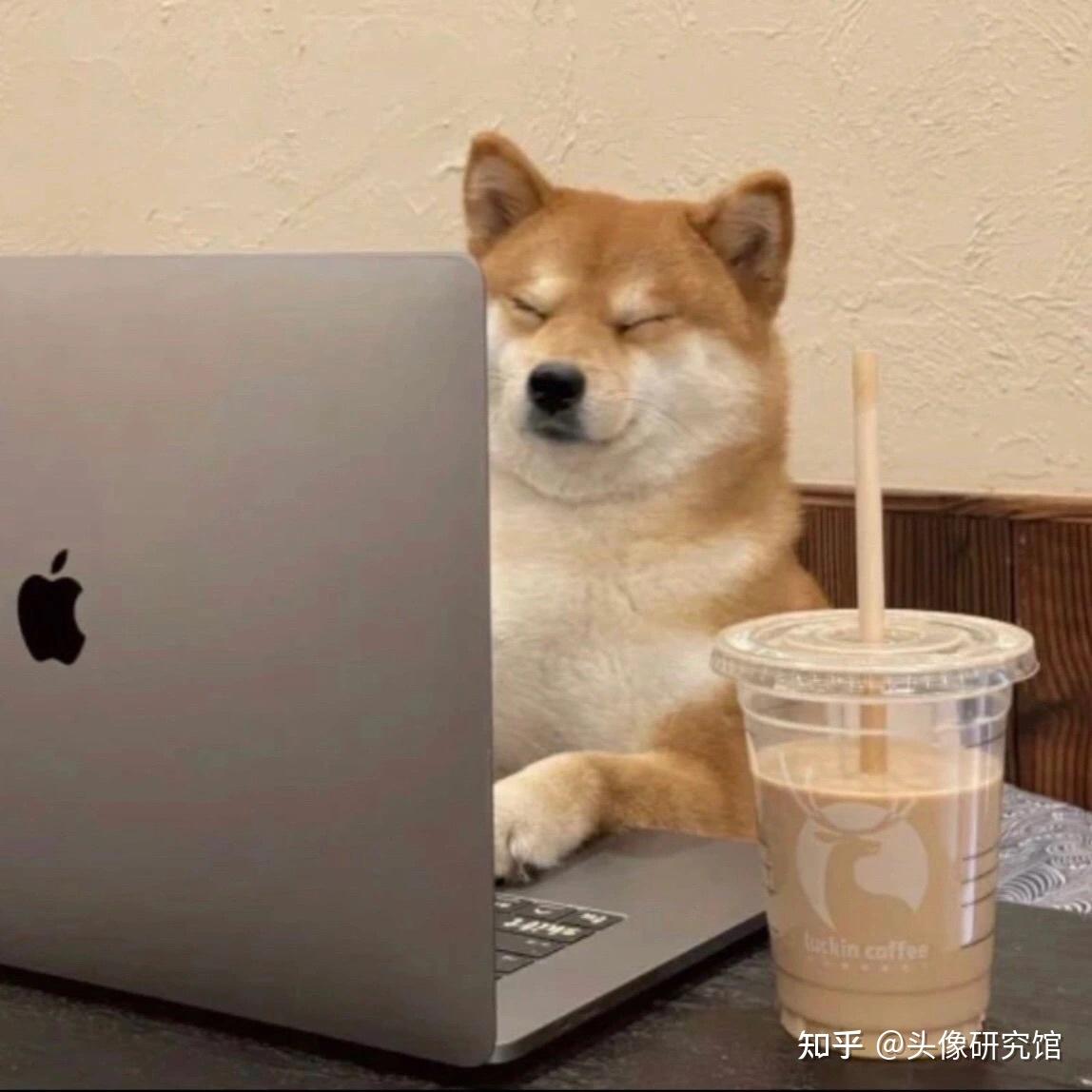 打工人𝙒𝙚𝘾𝙝𝙖𝙩发疯头像 - 知乎