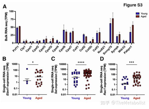 代谢学人——Cell Stem Cell：靶向CD47拨回肌肉衰老的时钟 - 知乎