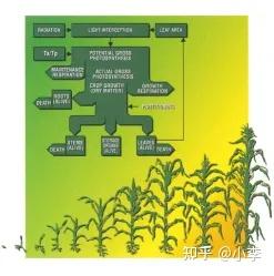 如何使用WOFOST和PCSE这两个农业生产模型进行作物生长模拟？如何模拟预测？ - 知乎