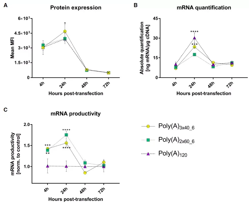 长Poly(A)尾中间有非A碱基，影响mRNA么？ - 知乎