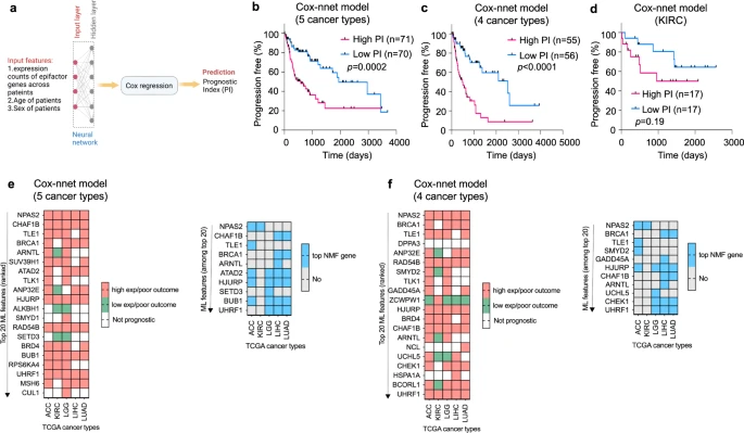 Commun Biol | 基于表观遗传因子表达的泛癌AI模型可准确预测多种癌症类型患者预后 - 知乎