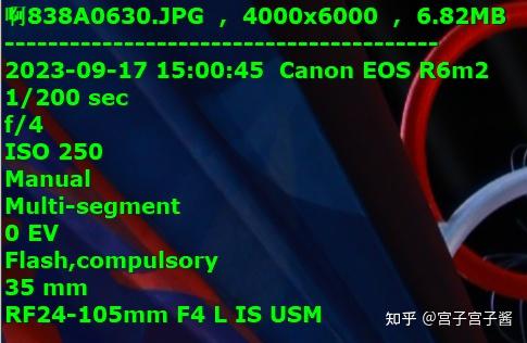 gfx100s画质与a7r5差别大吗? - 知乎