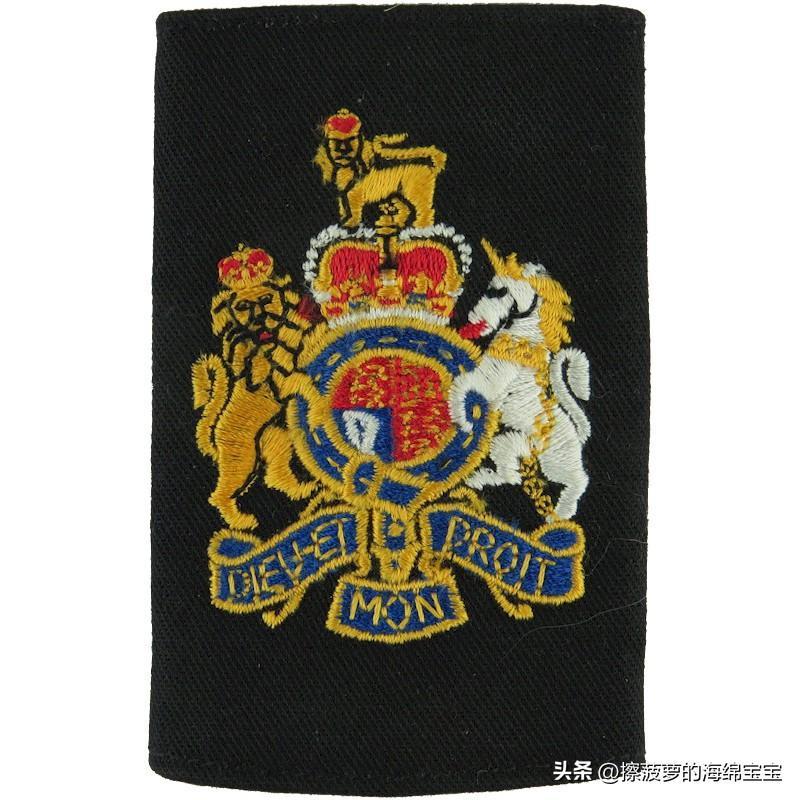 英国军队的准尉军衔介绍 - 知乎