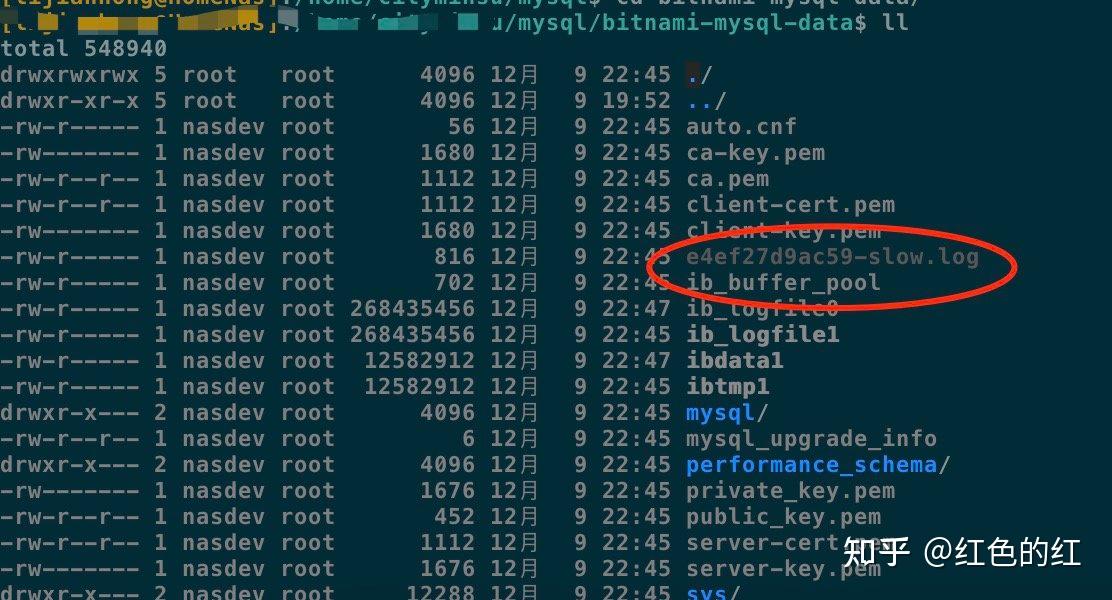 Ubuntu 20.04.6 安装Docker版MySQL - 镜像 bitnami/mysql:5.7.43-debian-11-r73 - 知乎