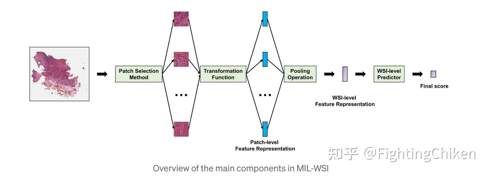 Multiple instance learning(MIL) - 知乎