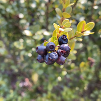 大众ID4.X内部ECU技术细节整理 - 知乎