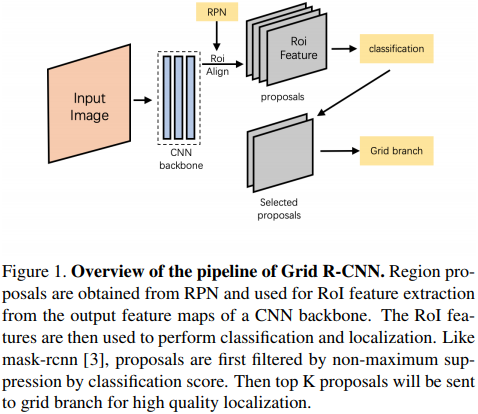 Grid R-CNN 和 Grid R-CNN Plus - 知乎