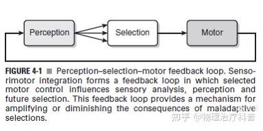 感觉运动整合（SENSORIMOTOR INTEGRATION） - 知乎