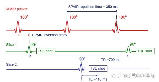SPAIR序列的TR及TI设置 - 知乎