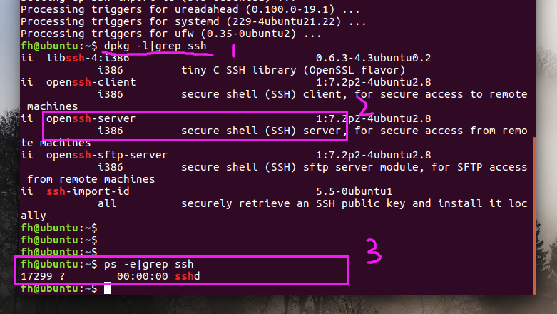Ubuntu 开启SSH服务实现远程登录与文件传输 - 知乎