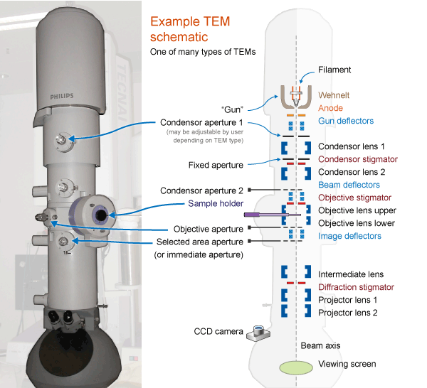 透射电子显微镜是如何工作的？ - 知乎
