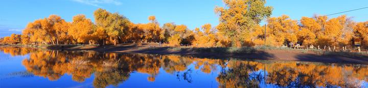 Geometry Instancing - 知乎