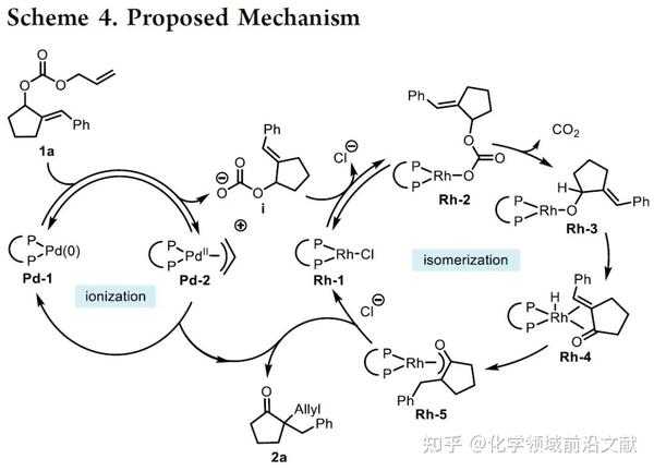 Mark Lautens课题组：Pd/Rh双催化串联异构化-烯丙基化反应—α-季碳羰基化合物的合成 - 知乎