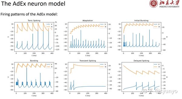 Single Neuron Modeling: Simplified Models - 知乎