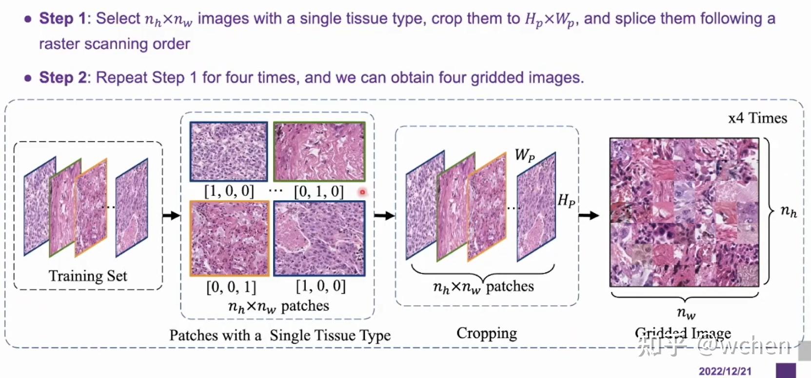 WSSS for Histopathology lmages Basedon Dataset Synthesis andFeature ...