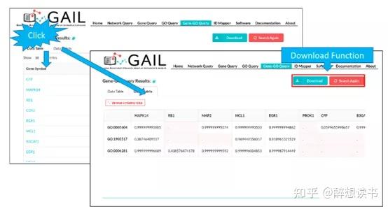 基因间相互作用、基因与GO之间的关系怎么查？GAIL教给你 - 知乎