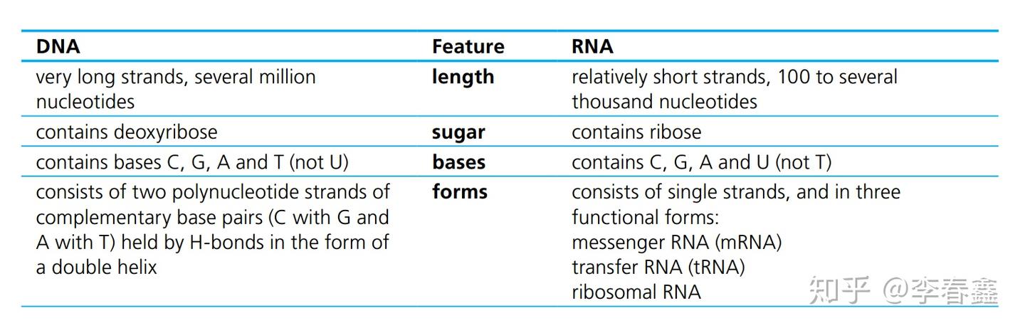 Topic 2.6 Structure of DNA and RNA 核酸结构 - 知乎