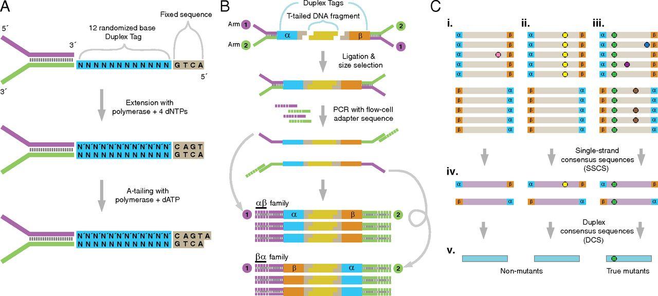 Omics精进05|临床Gene Panel检测-实验&&生物信息学分析（带UMI标签） - 知乎