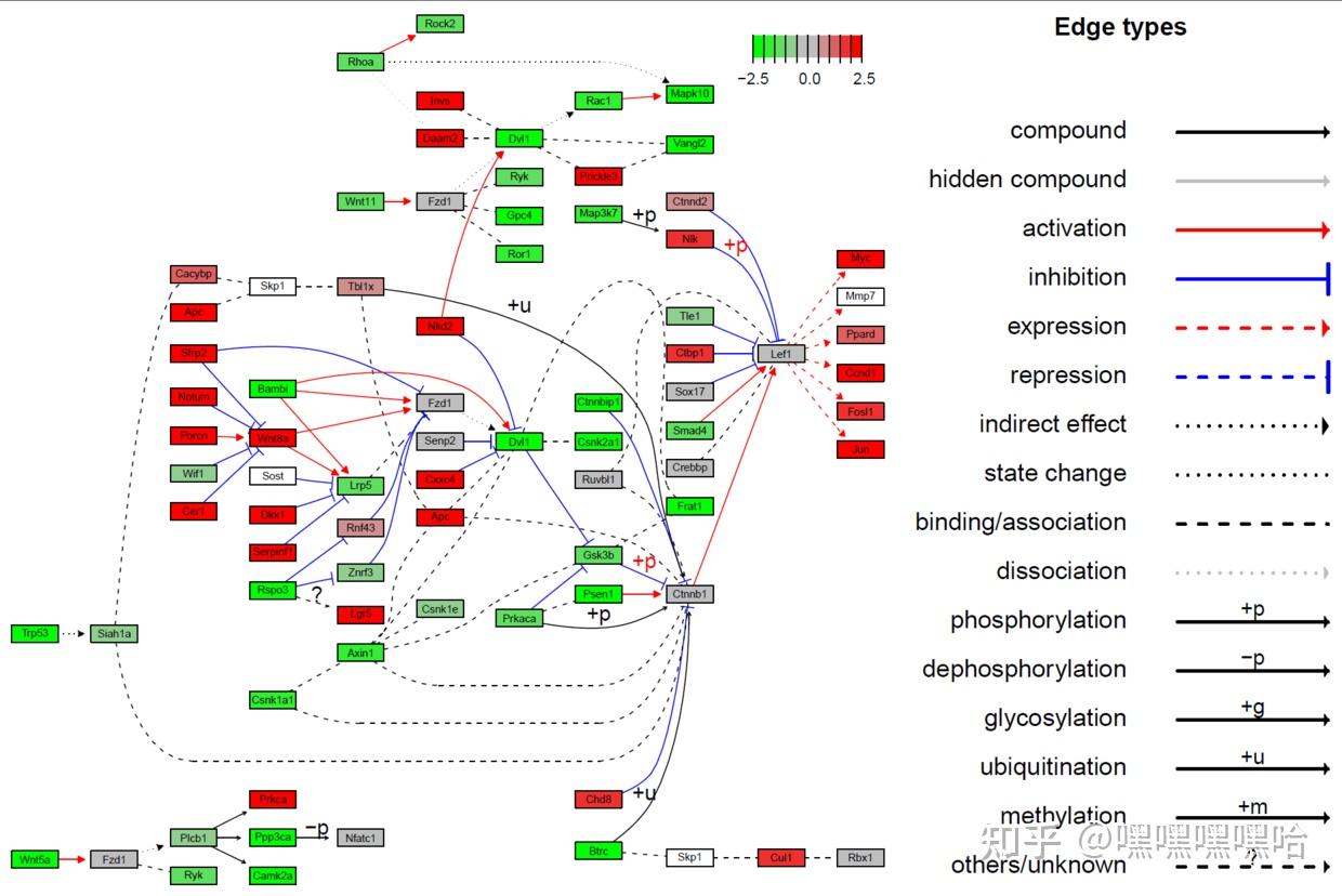 RNA-seq入门实战（六）：GO、KEGG富集分析与enrichplot超全可视化攻略 - 知乎