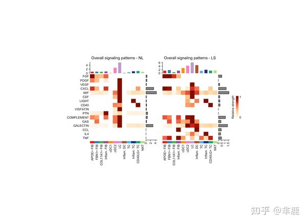CellChat细胞通讯分析（下）--实操代码·多个数据集比较分析 - 知乎