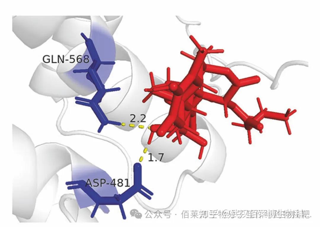 以靶找药高分分享：分子对接+SPR+MST+BLI+CETSA+DARTS全流程互作验证 - 知乎