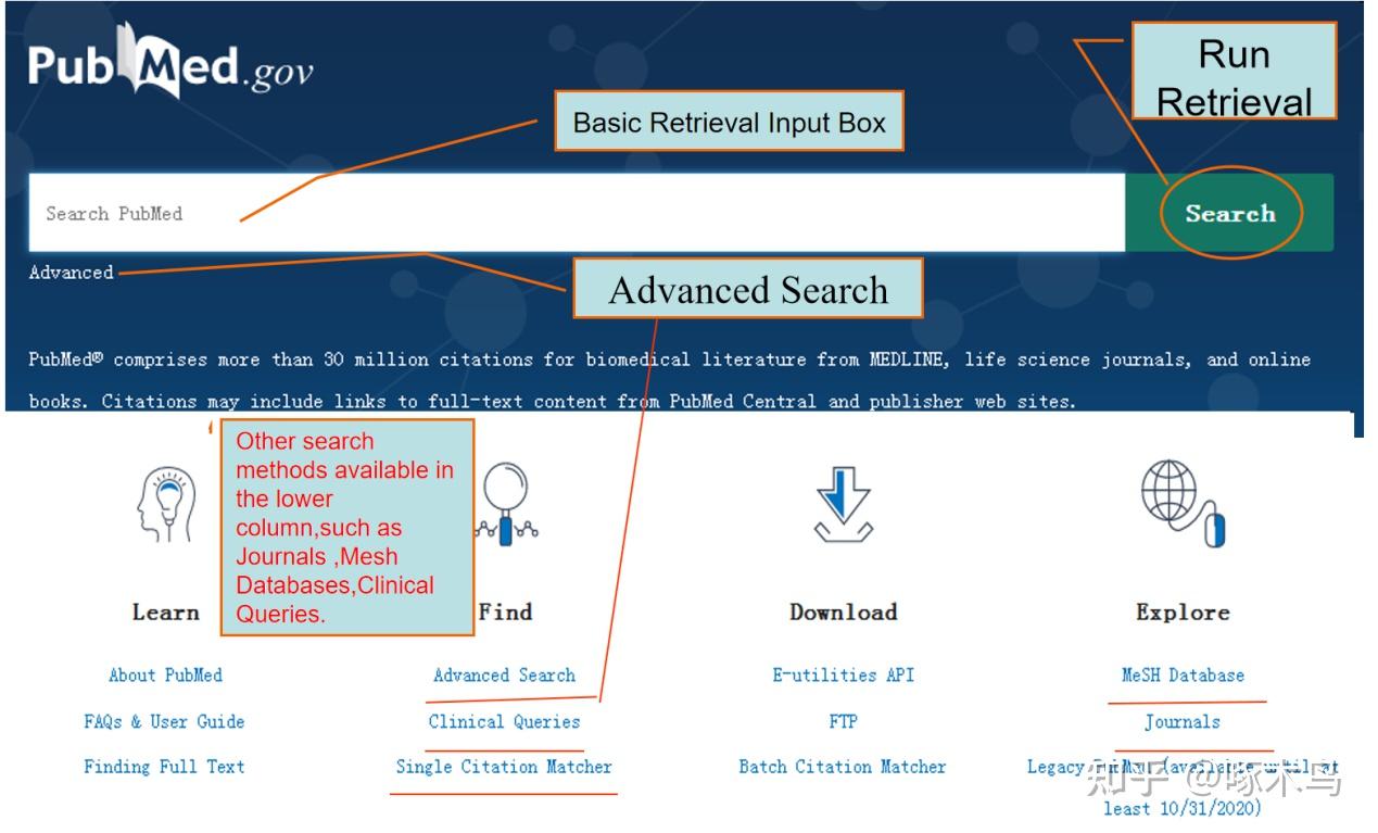 PubMed数据库检索示例 - 知乎