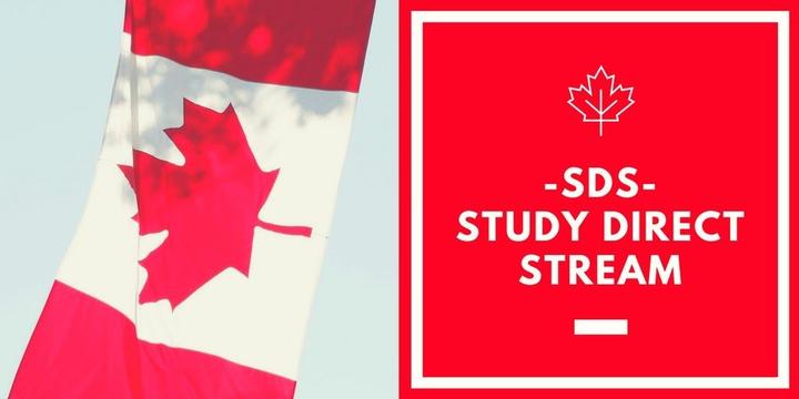 Student Direct Stream（SDS）小改，20天内下签仍是首选 - 知乎