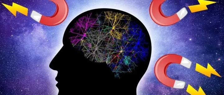 rt-TEP工具：实时显示TMS诱发电位，最大化皮层激活和最小化伪影 - 知乎