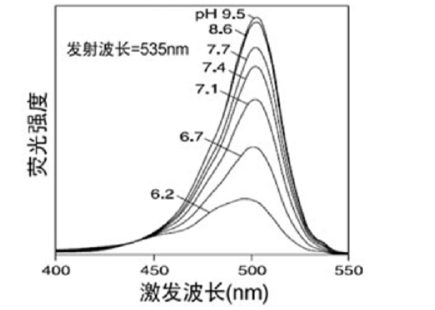 PH敏感荧光探针（BCECF-AM；ANNA） - 知乎