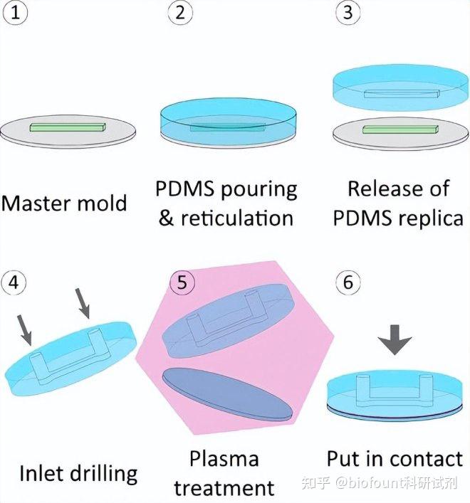 PDMS在微流控中的应用 - 知乎