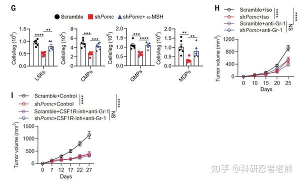 Science | 垂体产生的激素α-MSH促进肿瘤诱导的髓系造血和免疫抑制 - 知乎