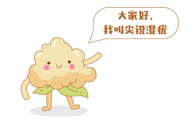 如何在尖锐湿疣潜伏期检测出来 知乎