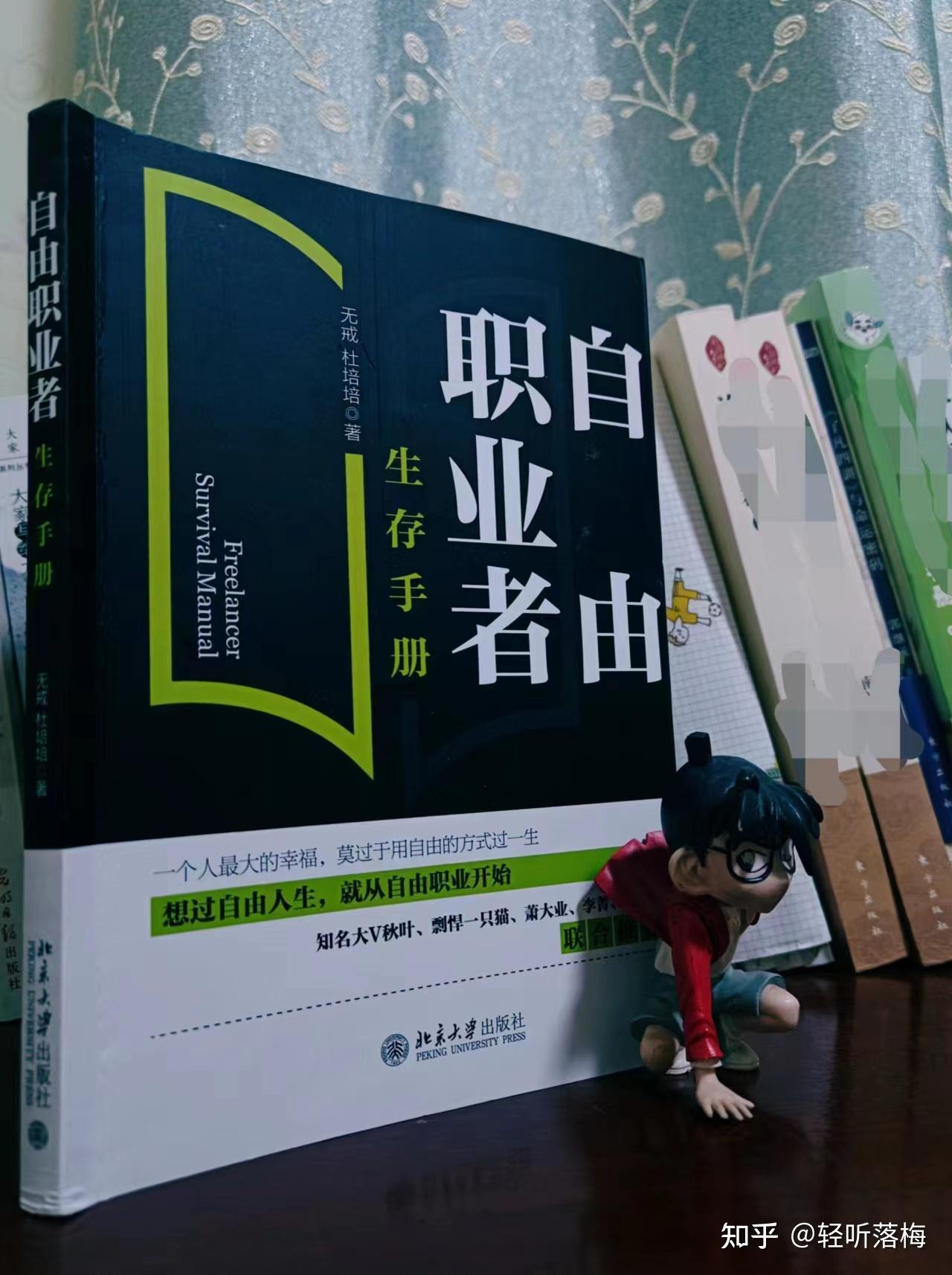 一书在手,创业不愁:自由职业者的生存宝典 知乎