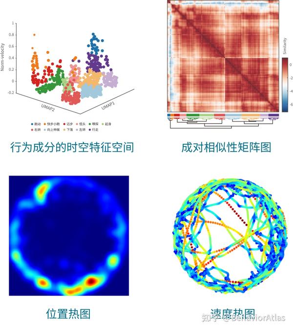 3d Ai 三维精细行为分析系统 知乎