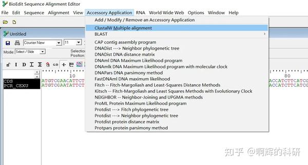Bioedit软件做测序后的序列比对和序列的反向互补与翻译 - 知乎