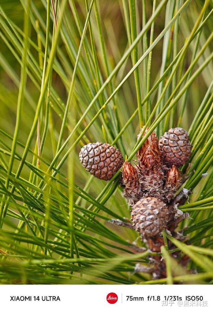 小米发起挑战！14Ultra 影像出众视频8K不限时录制，库克怎么看？ - 知乎