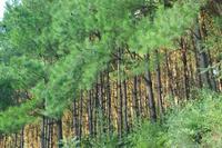 275项CCER方法学超强汇总！详解方法学、开发流程 - 知乎