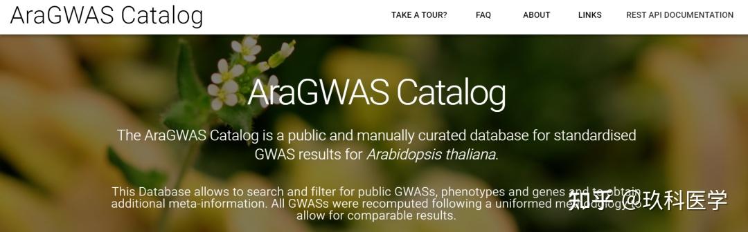 MR|孟德尔随机化常用的GWAS数据库，高分SCI必备！ - 知乎