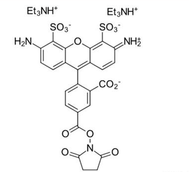 Cyanine7-Streptavidin，Cy7-SA，链霉亲和素偶联物，Cy7-标记 - 知乎